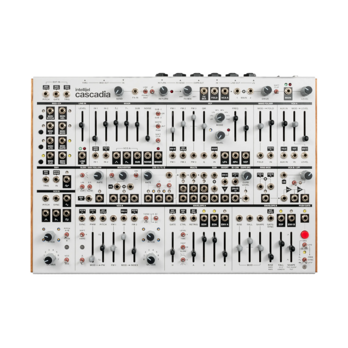Intellijel Designs Cascadia— Clockface Modular